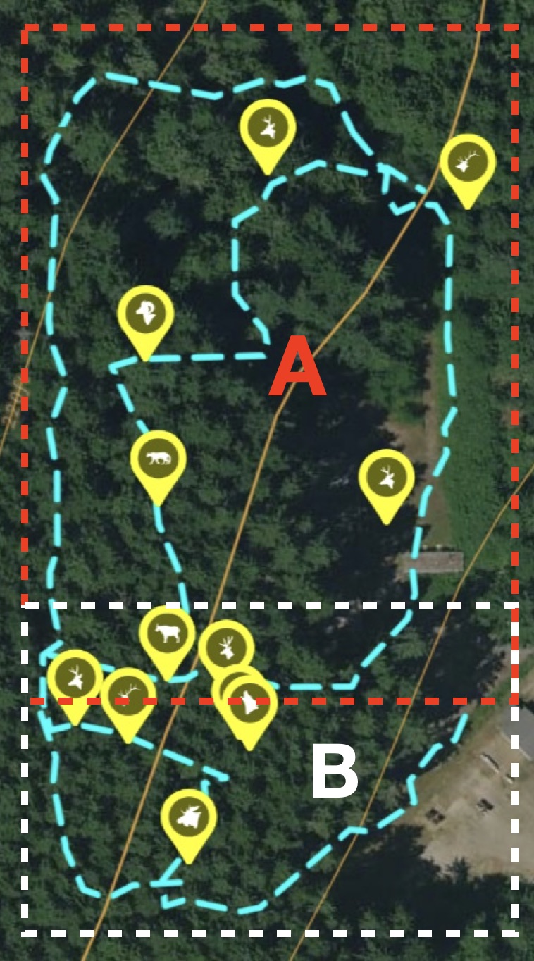 3D Archery - Bainbridge Island Sportsmen's Club
