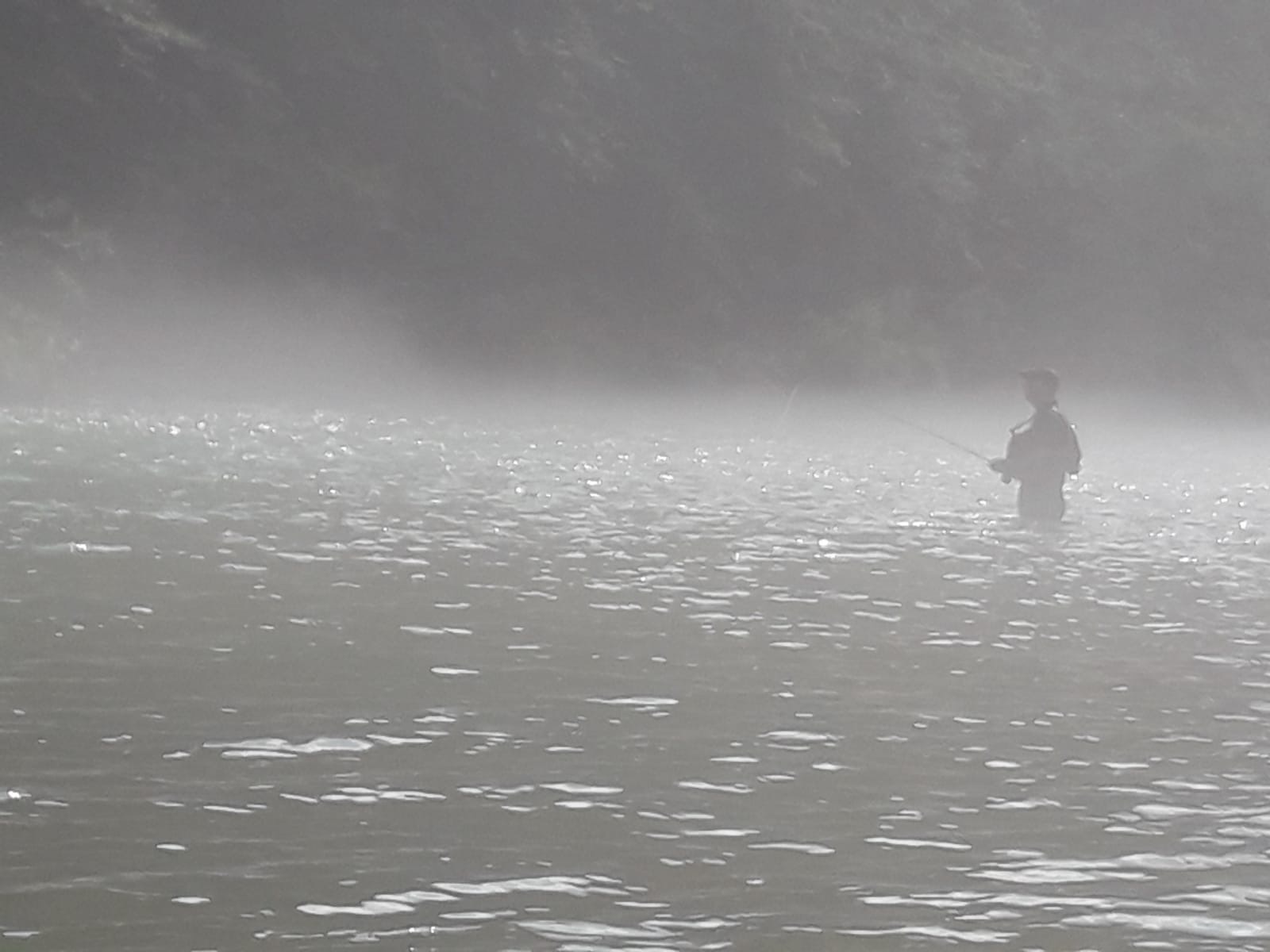 Training and Instruction - Bainbridge Island Sportsmen's Club